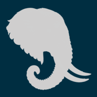 The Art of Connection – ELEPHANT TEST and BALANCE
